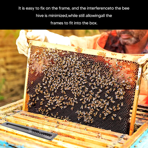 20/40/60×Black Small Bee Hive Beetle Blaster BeeHive Beetle Trap ...