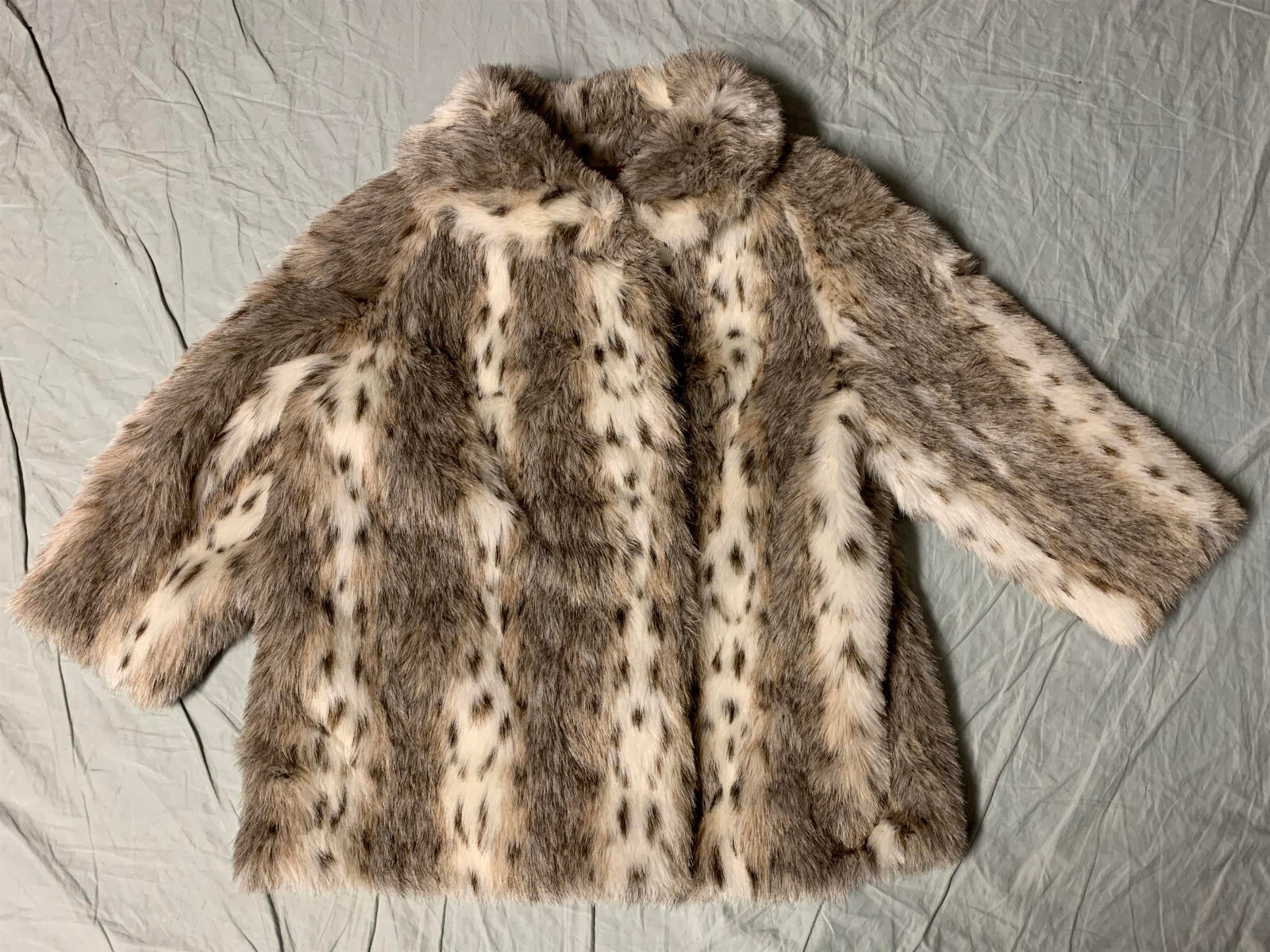 Womens Coat By Philip Markham MAAS Collection | atelier-yuwa.ciao.jp