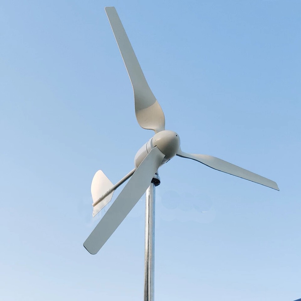 1000W 12V 24V Wind Turbine Horizontal Wind Power Generator With MPPT ...