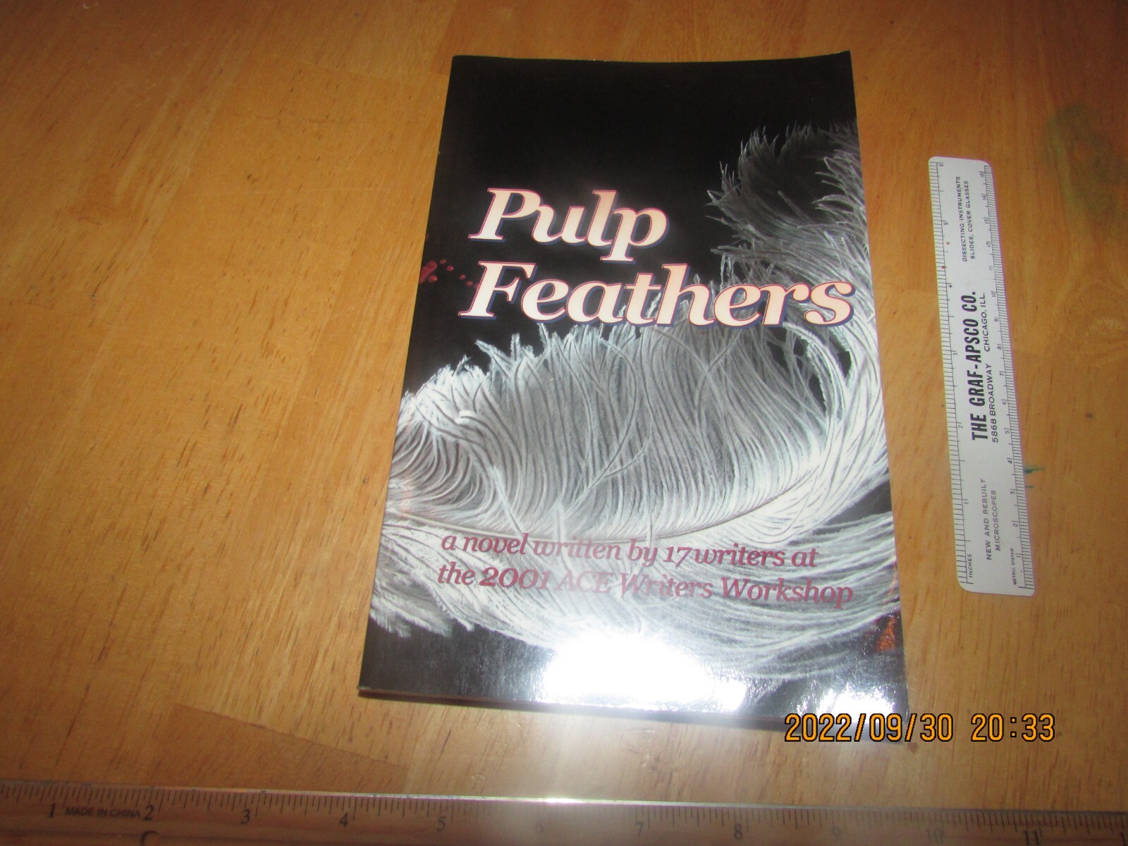 Pulp Feathers written by 2001 Ace Writers Workshop (Trade Paperback) | eBay