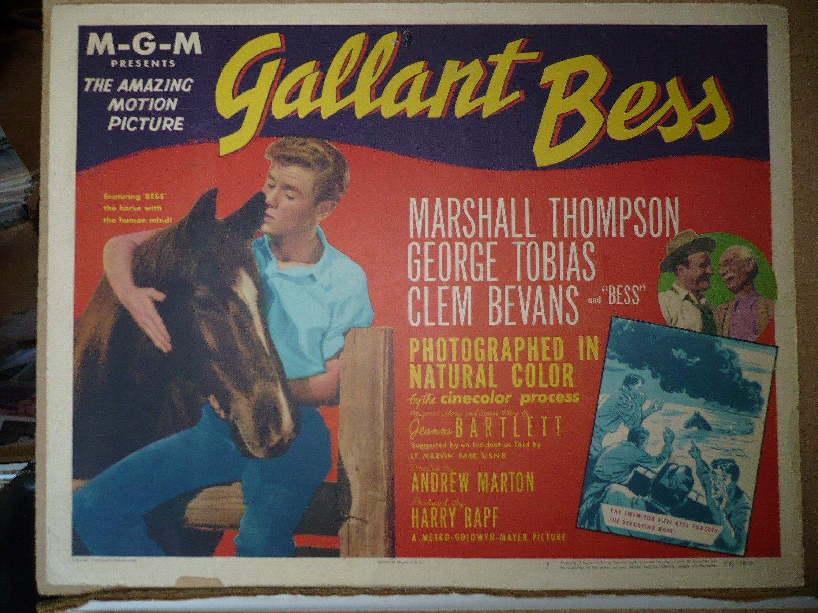 GALLANT BESS, orig LCS (Marshall Thompson, George Tobias, Clem Bevans ...