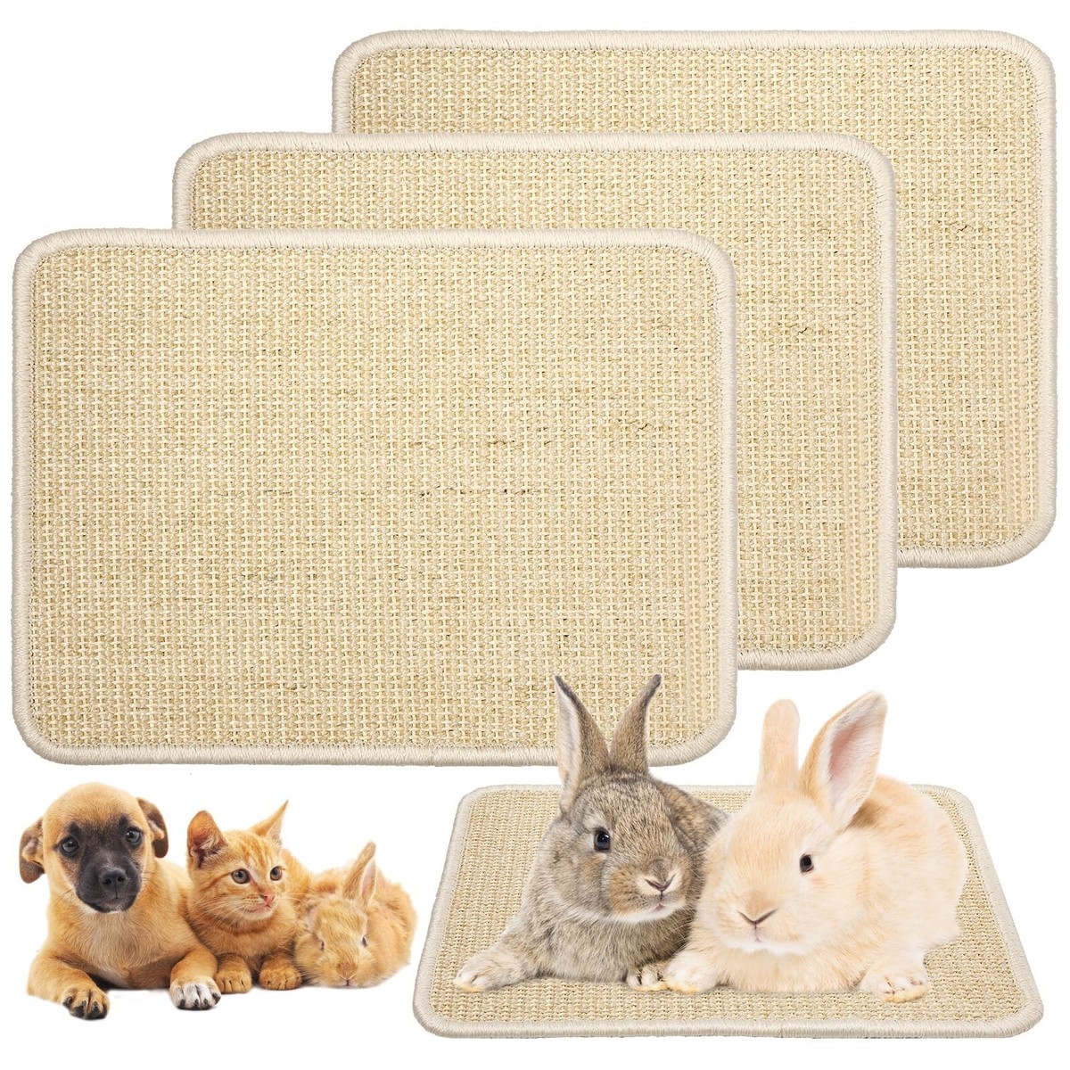 Rabbit Scratch Pad