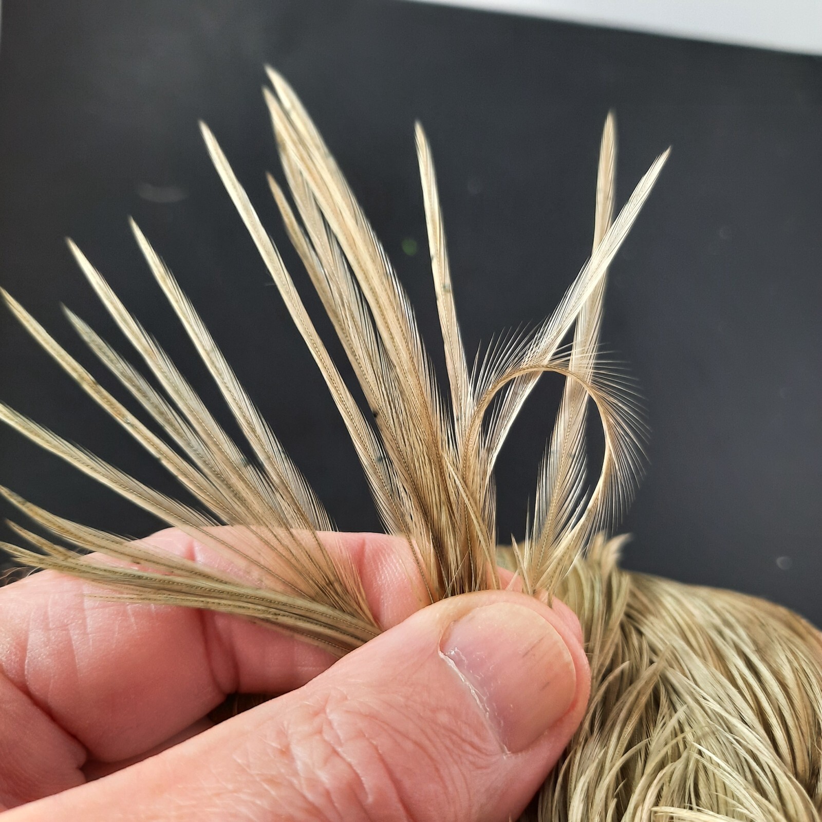 Dry Fly Hackle Cape Neck Grizzly, Cream, Olive, Blue Dun, Olive Dun ...