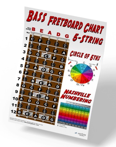 5 String Bass Fretboard Instructional Chart Poster LOOK Nashville ...