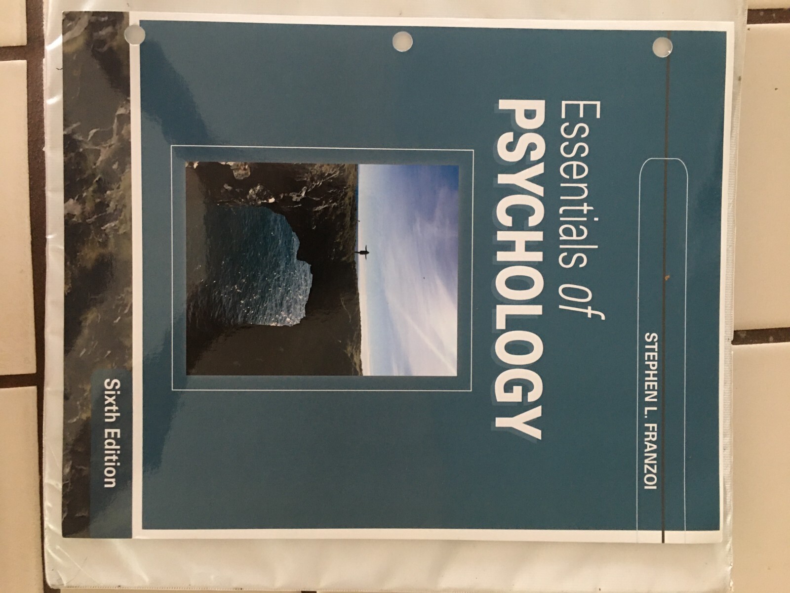 Essentials of Psychology 6th Sixth 6e Edition by Stephen Franzoi Loose ...