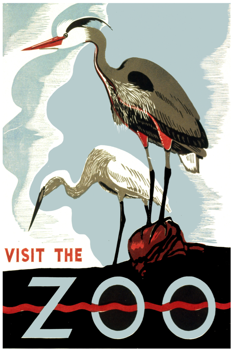 Vintage Zoo POSTER.Home Interior Design Crane Stork.Room art Decor.305i ...