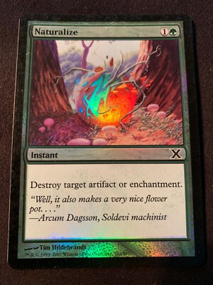 MTG Magic 1x x1 - Naturalize Tenth Ed LP-P (Avl 2) - Make OFFER! | eBay