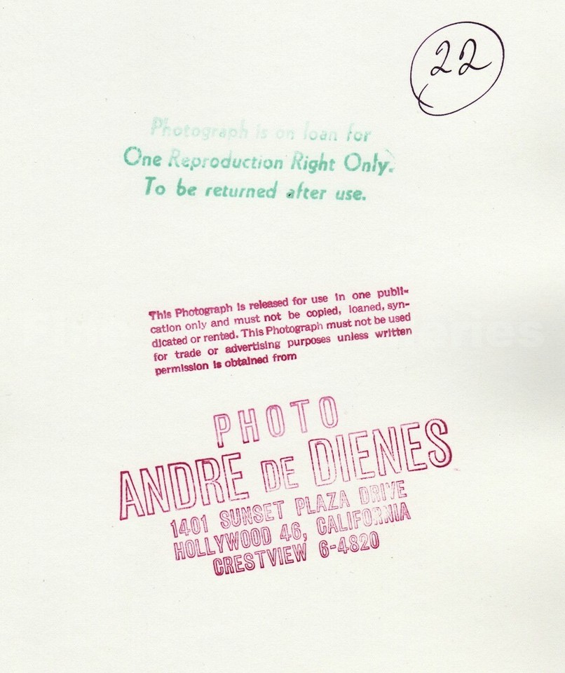 1950 Original ANDRE DE DIENES Female Nude SHIRLEY LEVITT Florida Silver ...