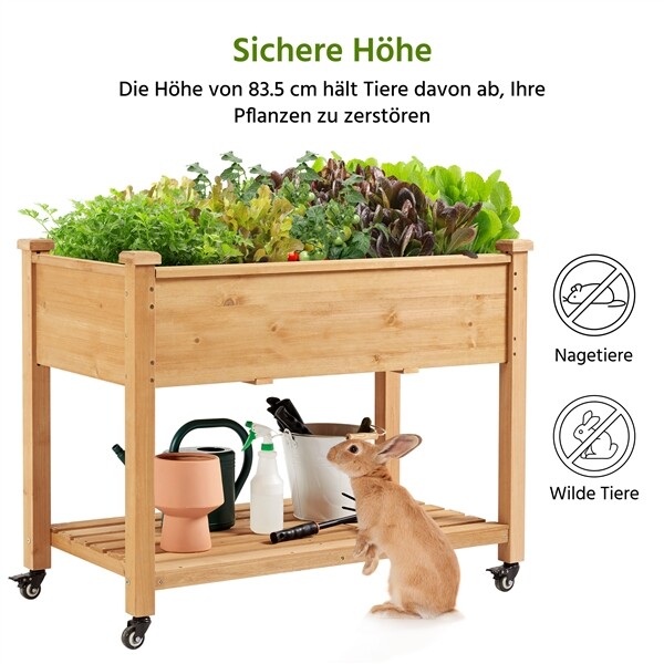 Hochbeet mit Rollen Pflanzkasten Blumenkübel Kräuterbeet Frühbeet Holz ...