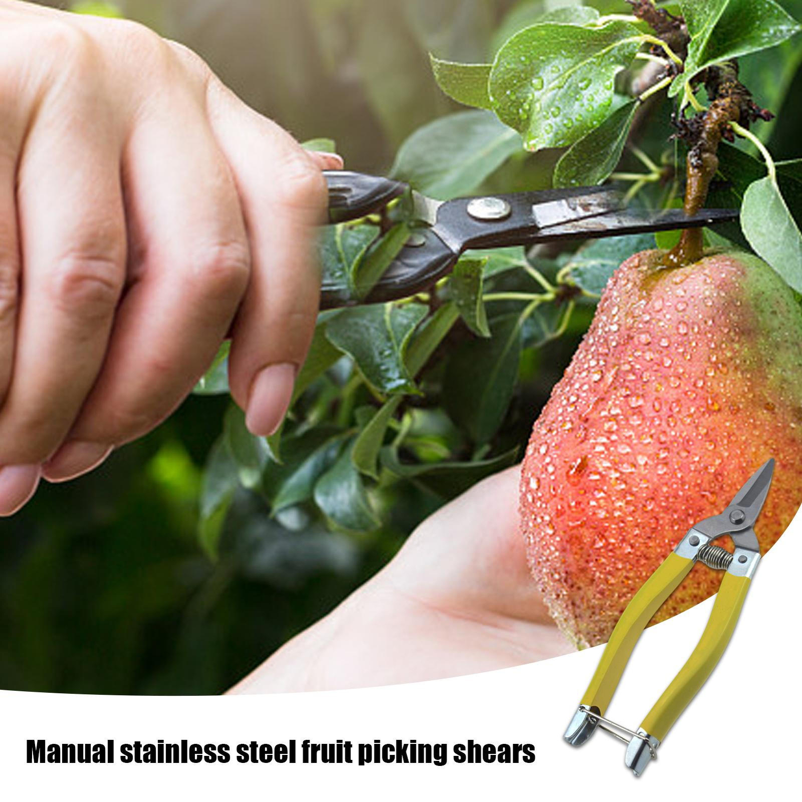 Bypass Tree Trimmer Anti-Slip Hand Pruner with Comfortable Grip Pruning ...