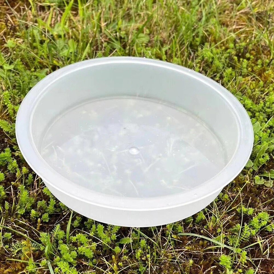 Replacement Wild Bird Water Dish Feeder Plastic Tray For Feeding ...