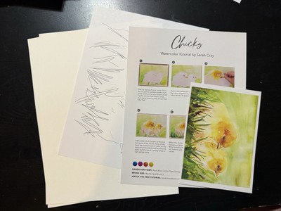 Let’s Make Art - WaterColor - Chicks -Tutorial By Sarah Cray | eBay