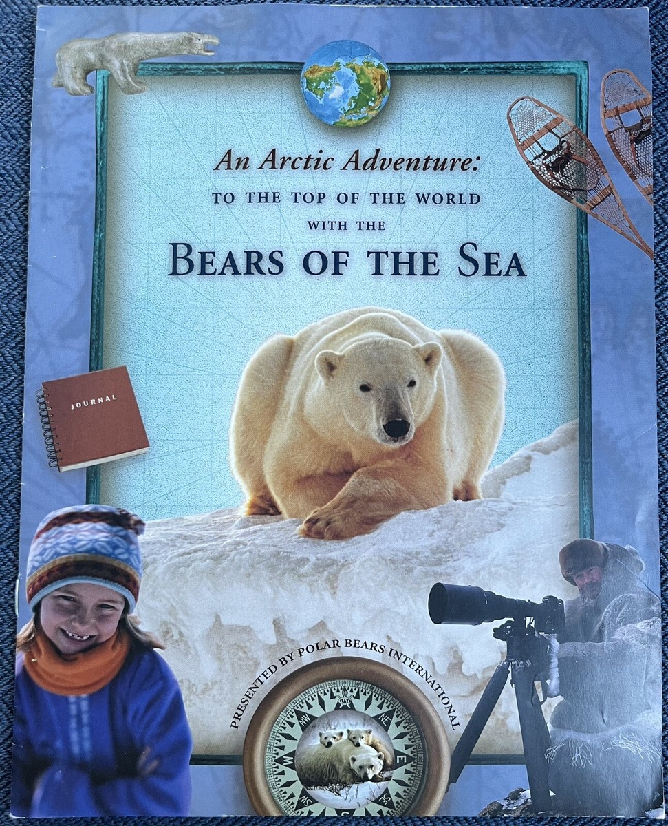 Largest Polar Bear In The World Polar Bear | San Diego Zoo Animals