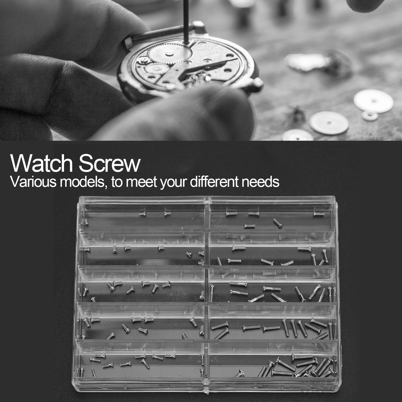 304 Stainless Steel Slot Screws Watch Back Cover Assorted Screws IDM | eBay