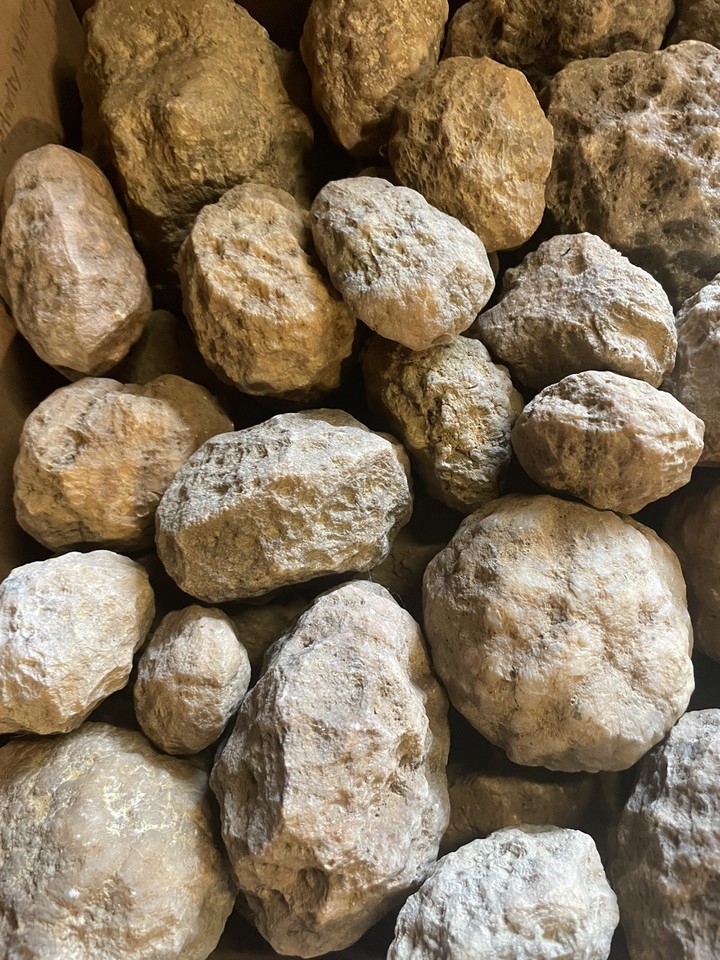 LARGE FLAT RATE BOX OF KENTUCKY GEODES:VARIOUS SIZES-1” TO 5”. LAPIDARY ...