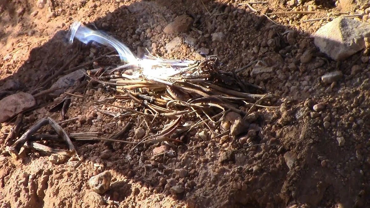 Fresnel Lens Fire Starter
