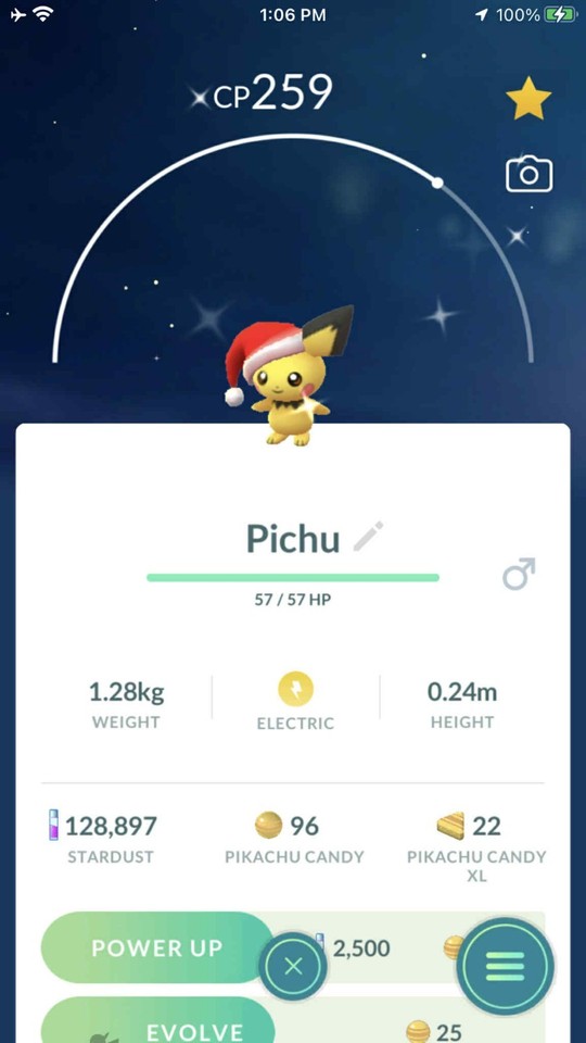 Pokemon Shiny Pichu With Santa Hat - TRA'DE Registered Shiny Pichu ...