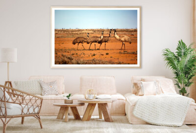 Outback Emus Print Premium Poster High Quality choose sizes | eBay ...