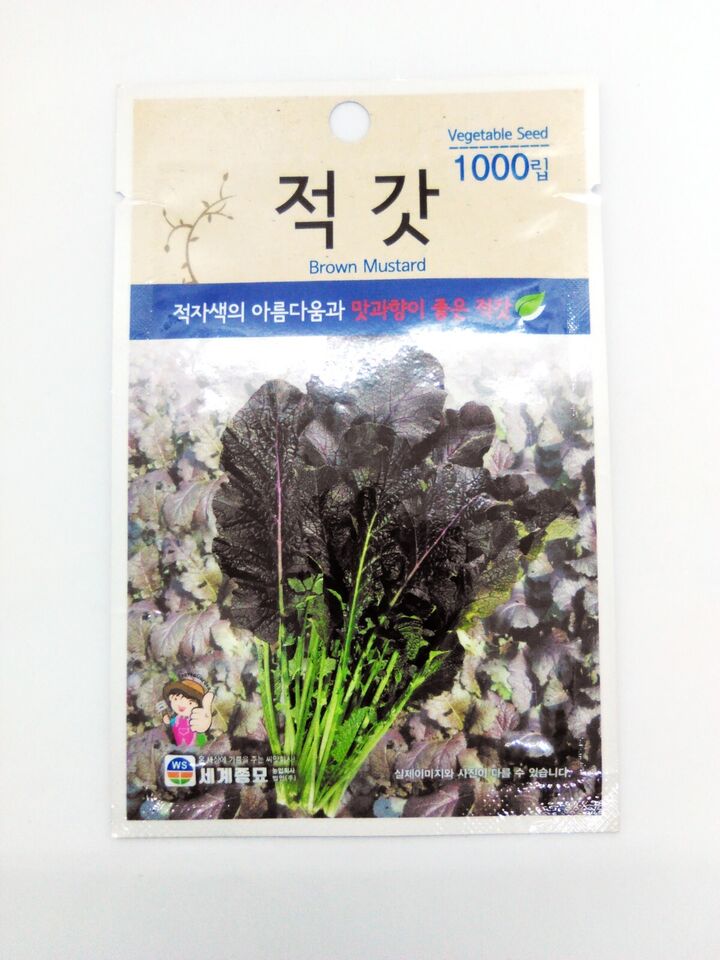 Korean Healthy Vegetable Lettuce, Sesame, Radish, Chives, Cirsium Seed ...
