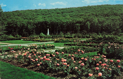 Postcard Rose Garden Sterling Forest Gardens Route 210 Tuxedo New York ...