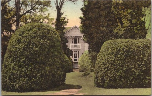 Charlottesville VA Hand-Colored Postcard James Madison ASH LAWN ...