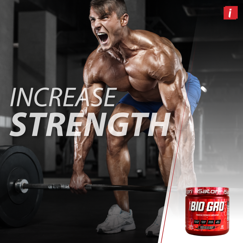 BIO-GRO Protein Muscle, Strength & Recovery - Chocolate Ice Cream / 60 ...