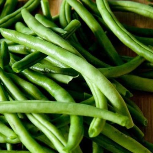 Beans - Contender (Bush type snap) | eBay