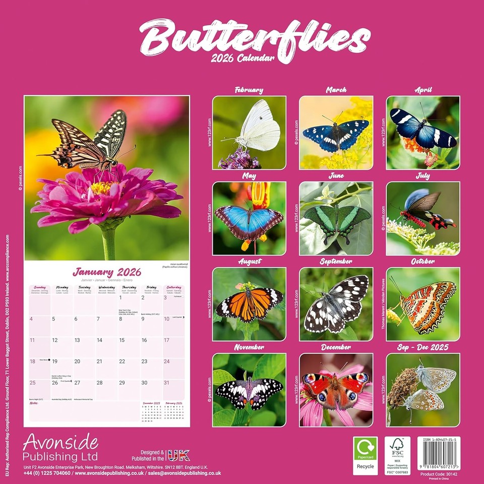 BUTTERFLIES - 2026 WALL CALENDAR - BRAND NEW - 07213 | eBay
