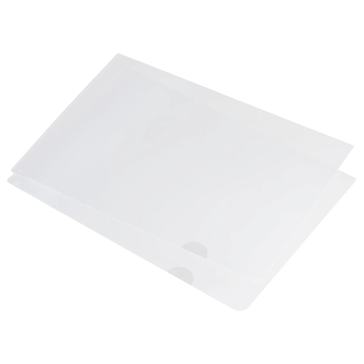 Plastic Folder Transparent L