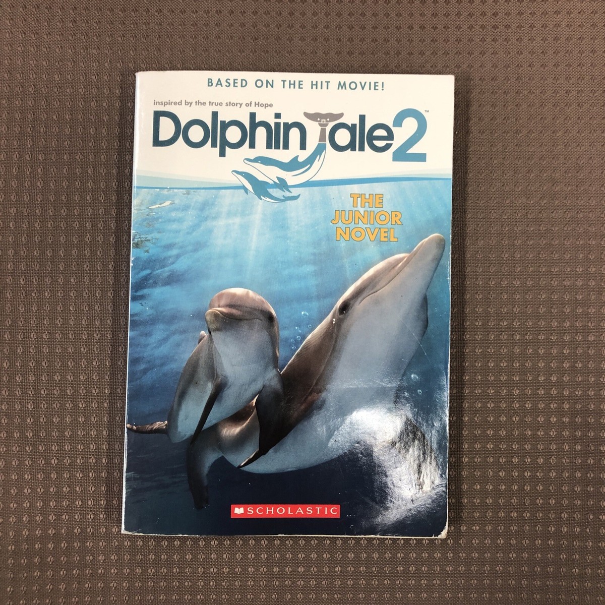 Dolphin Tale Book