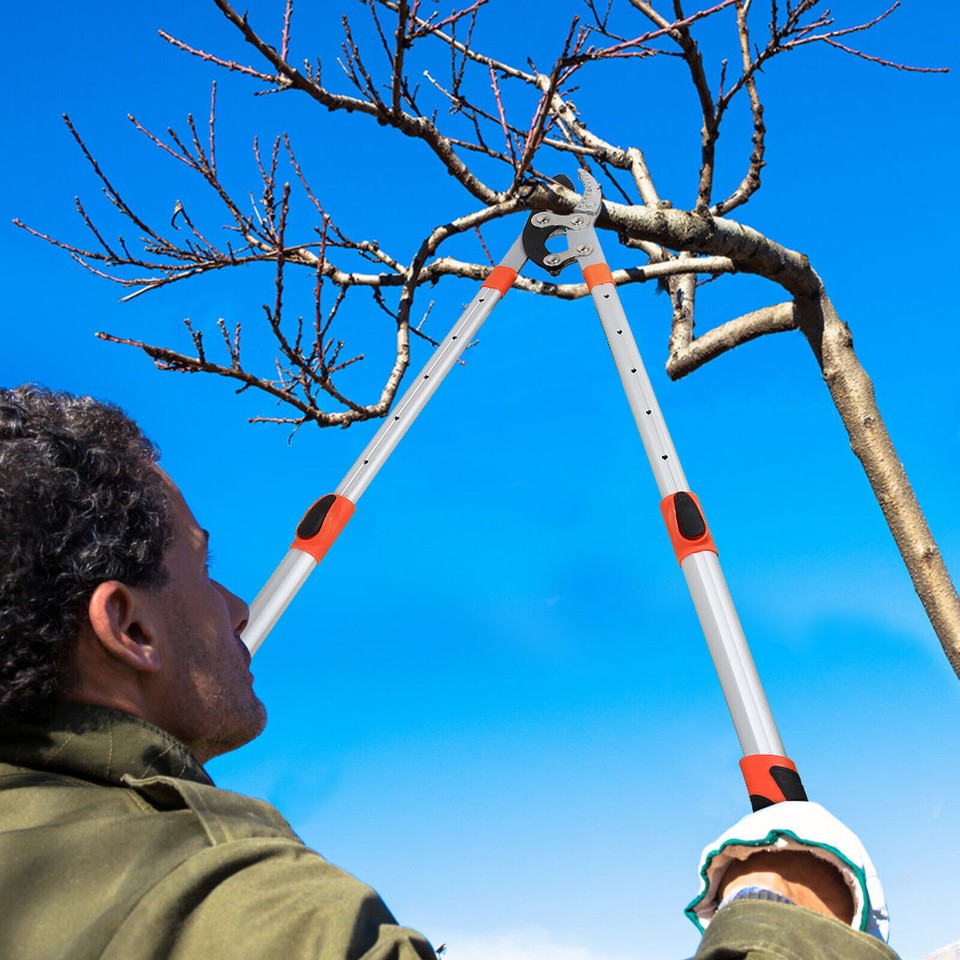 Extendable Telescopic Tree Pruner Garden Branch Cutter Lopper Heavy ...