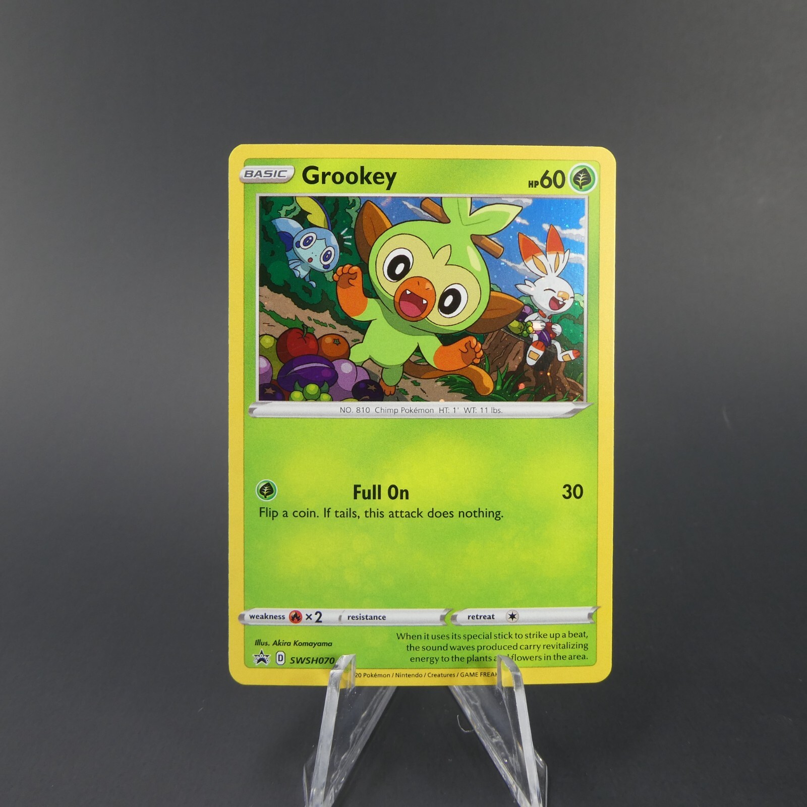 Grookey SWSH070 Holographic Black Star Promo Pokemon TCG Near Mint NM ...