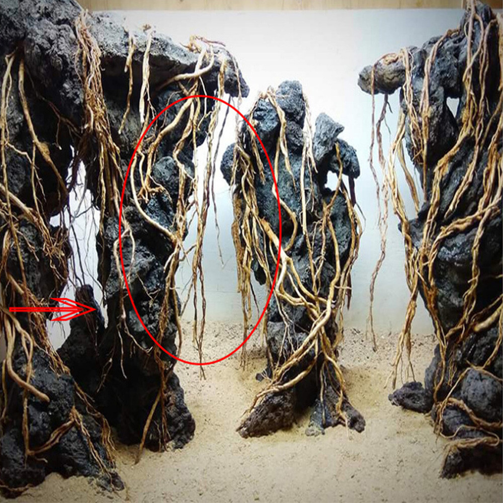 Natural Driftwood Aquarium Root Trunk Tree Fish Tank Landscape Plants ...