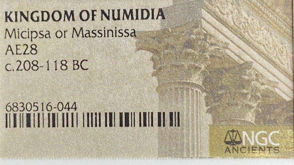 Numidian Empire 208BC-118BC NGC Ancient BC Micipsa Roman Punic War Era ...