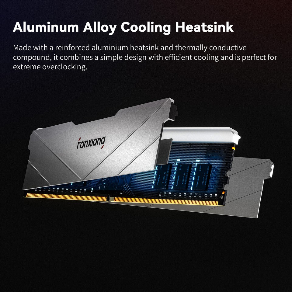 Fanxiang 16GB (2 x 8GB) 3200MHz DDR4 RAM Desktop PC Memory Stick with ...