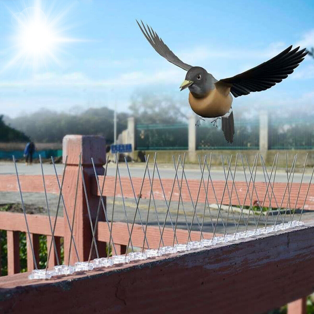 10M 5M Pigeon Bird Spikes Metal Wall Fence Deterrent Anti Perch Control ...