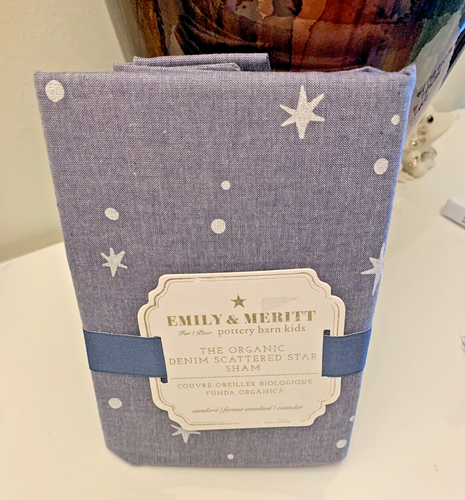 Pottery barn Disney Emily Meritt Star pillow sham holiday school kid ...