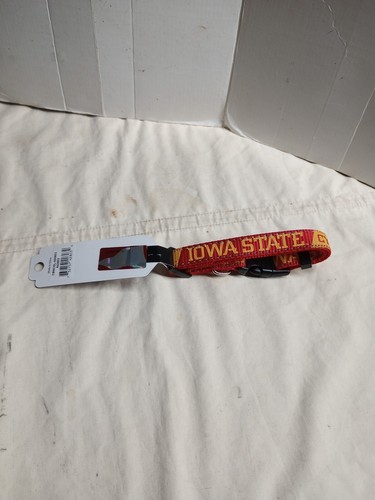 Iowa State Cyclones Pep Rally Pet Dog Collar - Size Small 10"-14" | eBay