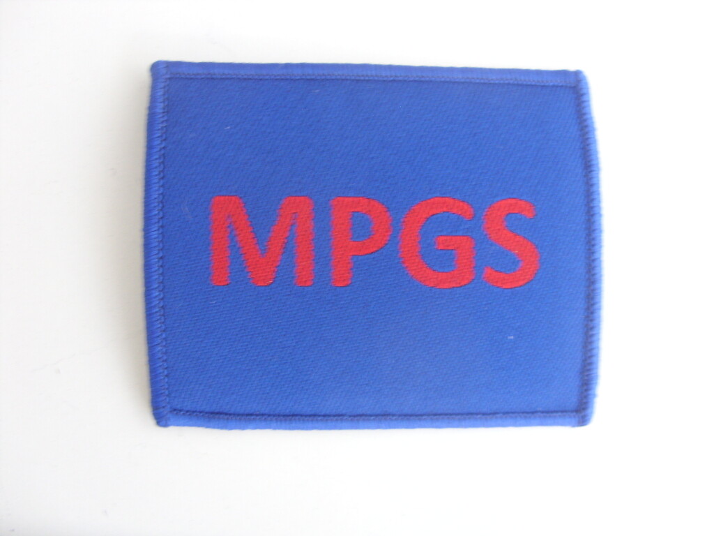 MPGS TRF DZ ARM BADGE - MILITARY PROVOST GUARD SERVICE NEW ISSUE | eBay UK
