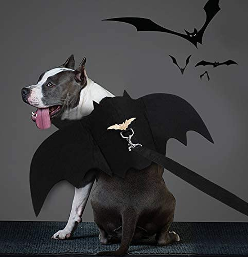 Dog Bat Wings, Halloween Costumes for Dogs, Pet Costume, Bat Wings for ...