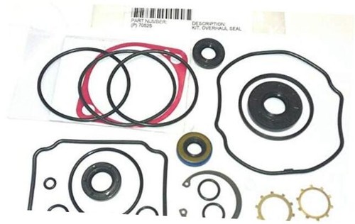 Genuine Original 70525 BDP-10A Pump Overhaul Seal Kit with Seals ...