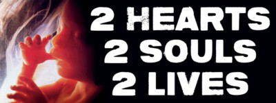 3x8 inch 2 Hearst Souls Lives Bumper Sticker (pro choose life christian ...
