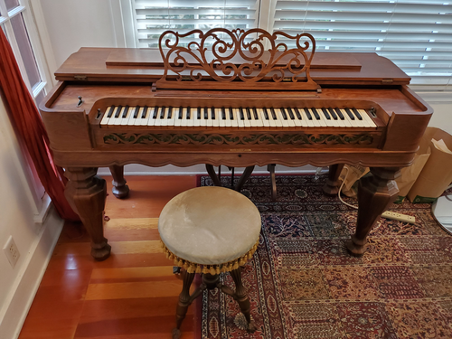 Melodeon - Rebuilt Taylor and Farley Pedal Reed Organ | eBay