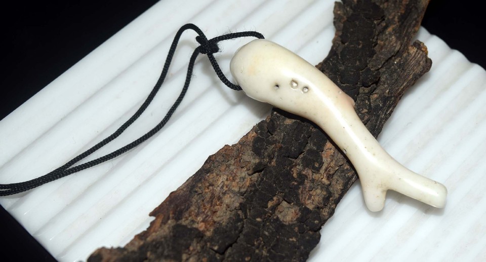 Natural White Coral Branch Pendant Necklace, Organic Coral Fossil, Hand ...