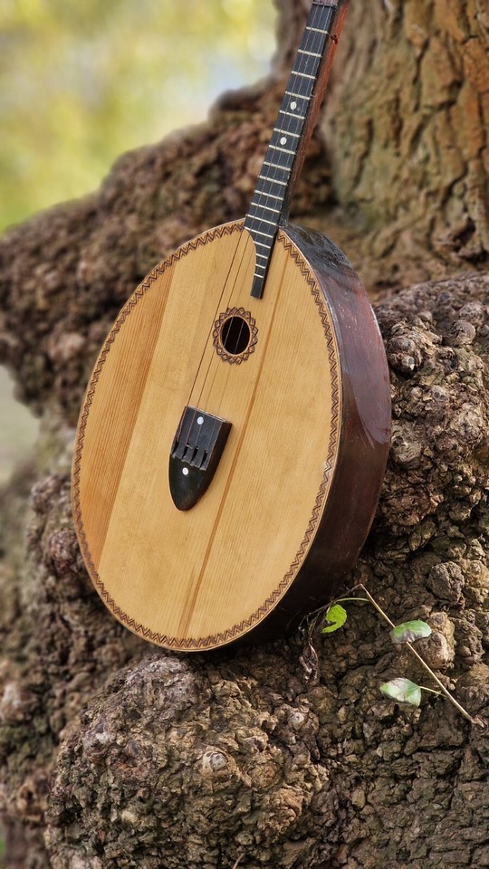 Kobza 4 String Guitar Vihuela Ukrainian Folk Traditional Instrument ...