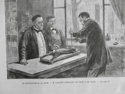 1895 Pasteur Vaccination Rage Vaccin 5 Ancient Newspapers | eBay