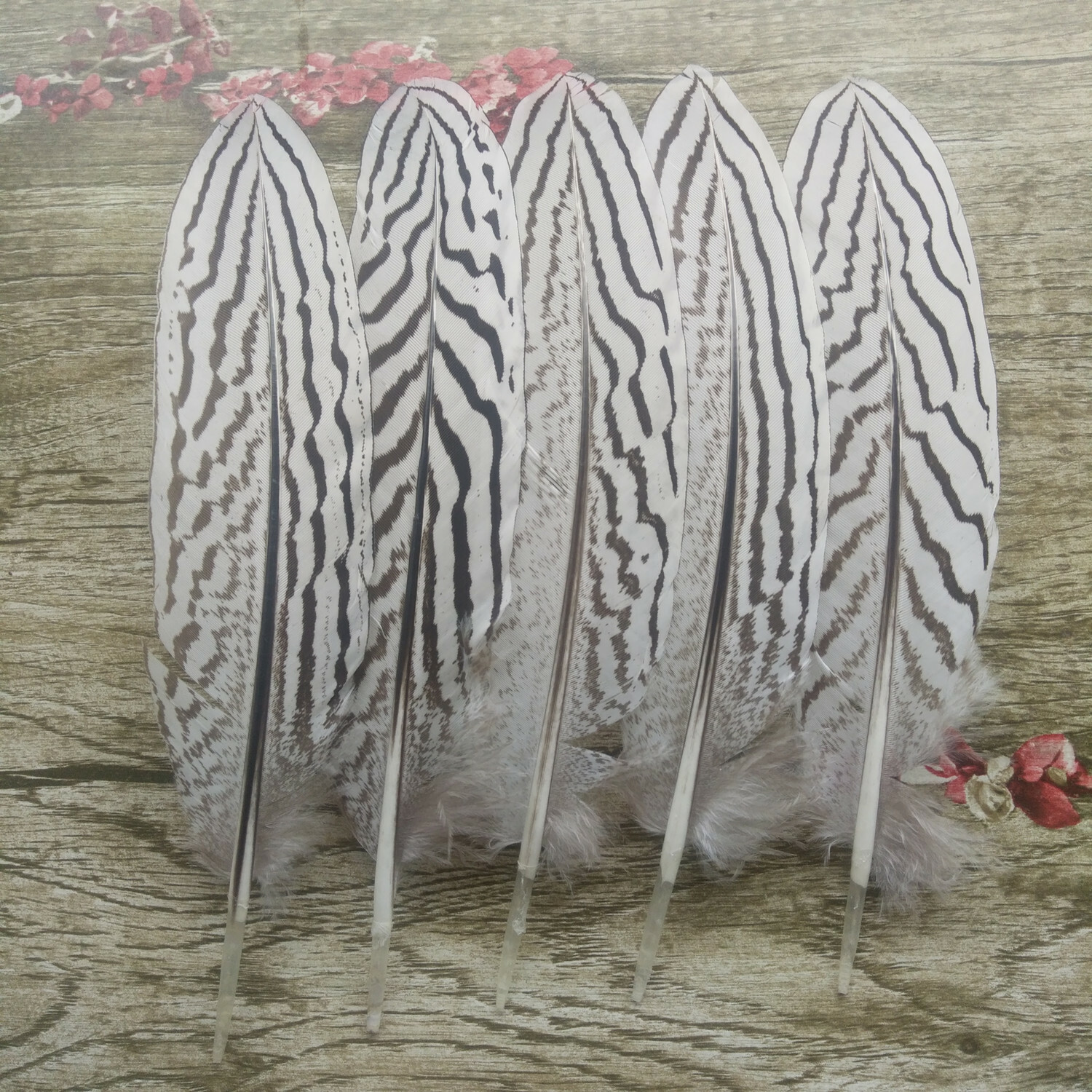 10-100pcs Beautiful Natural Silver Chicken Feather 7-9 inch/18-22 cm ...