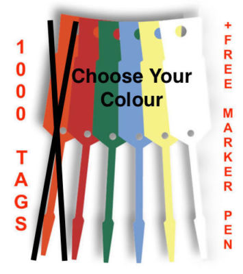 Disposable Plastic Key Tags x 1000 Single Colour-FREE Felt Tip Marker ...