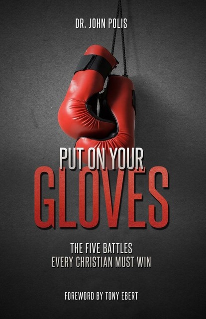 Put On Your Gloves von John Polis (2018, Taschenbuch) for sale online ...