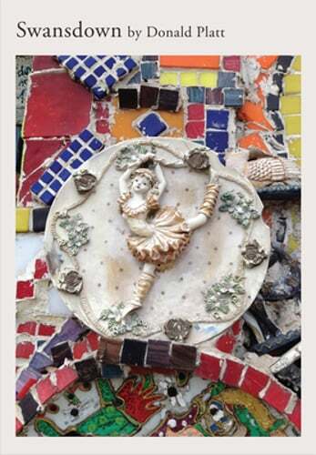 Swansdown by Donald Platt: New 9781946830159| eBay